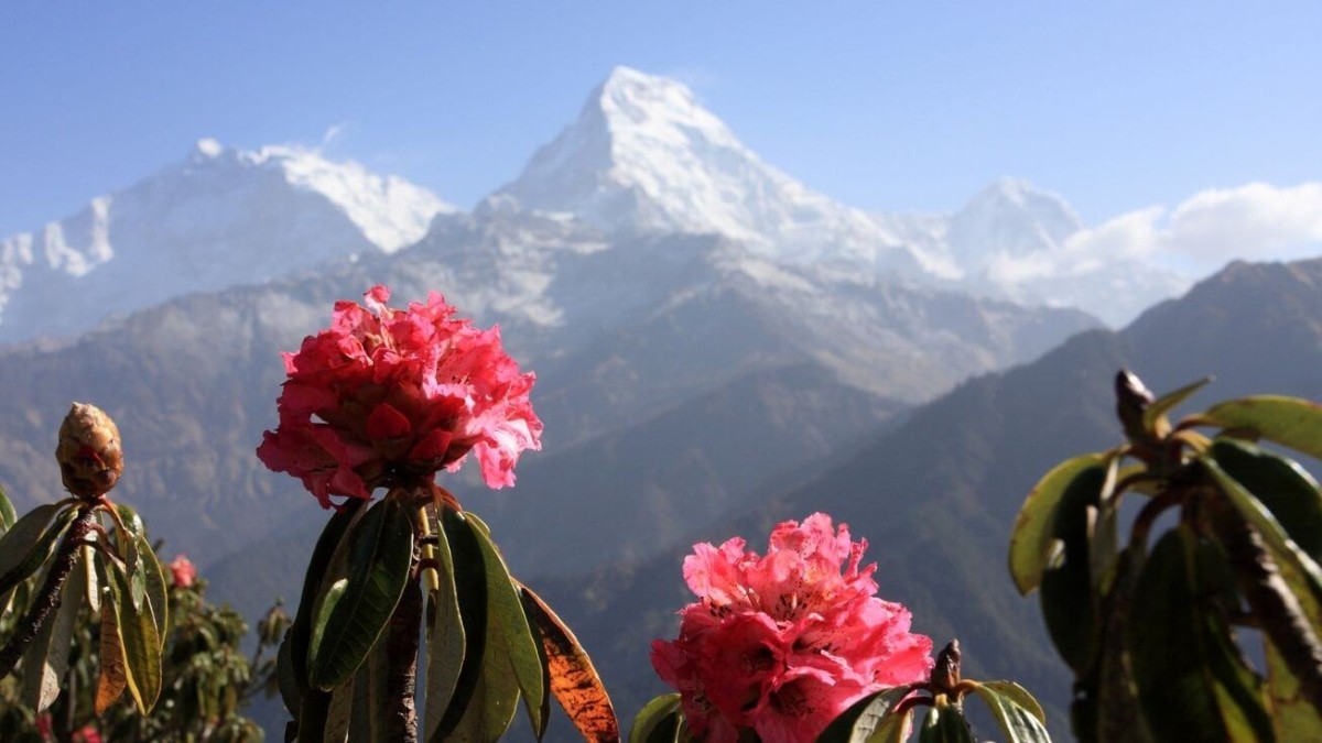 Top 10 Reasons to Travel to Nepal | Adventure, Culture & More
